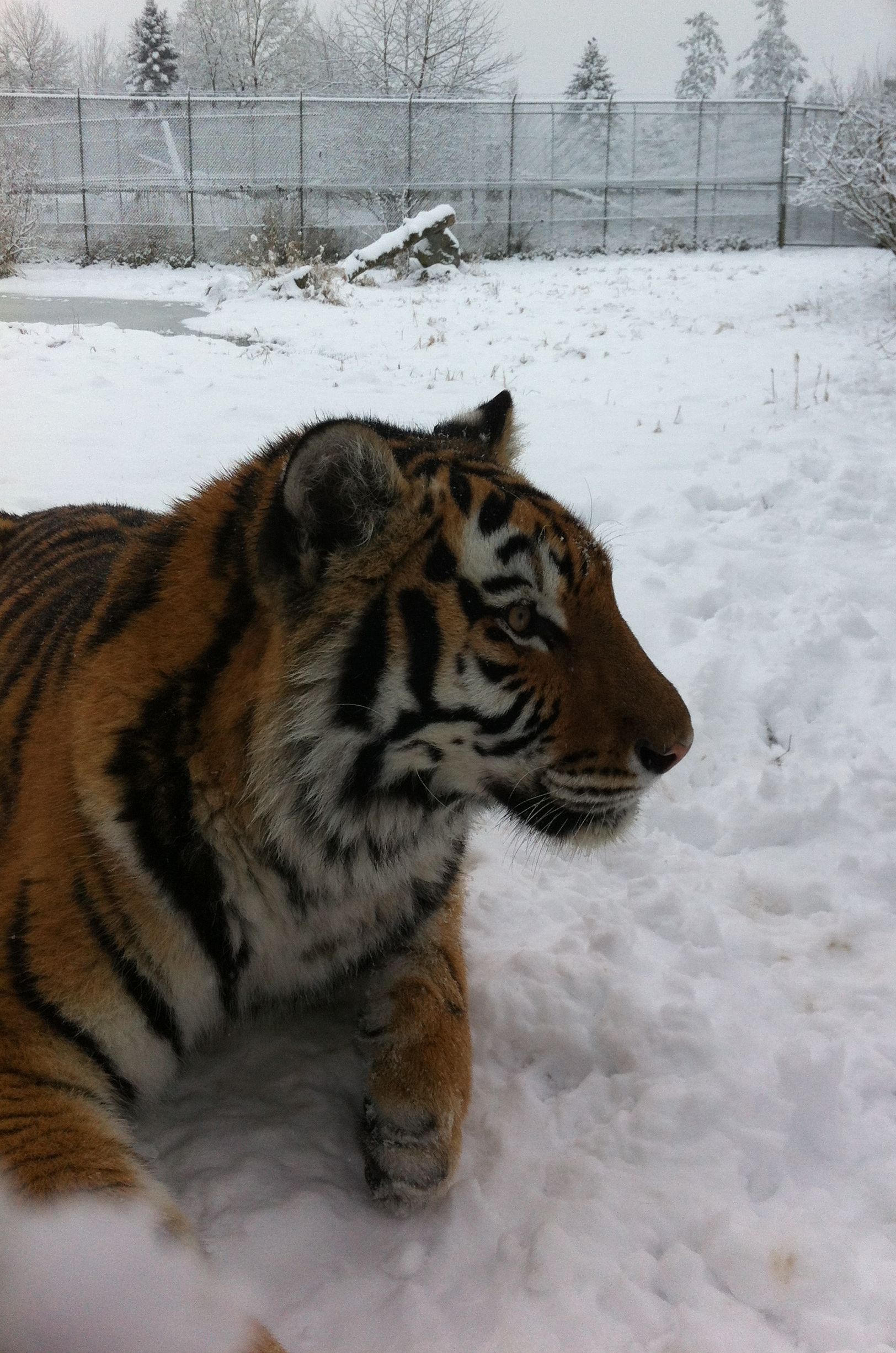 Greater Vancouver Zoo | Home & Blog