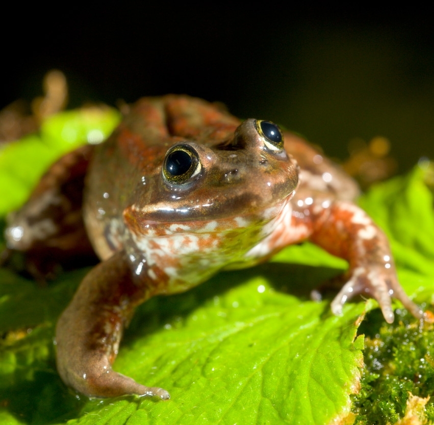 Greater Vancouver Zoo | Home & Blog