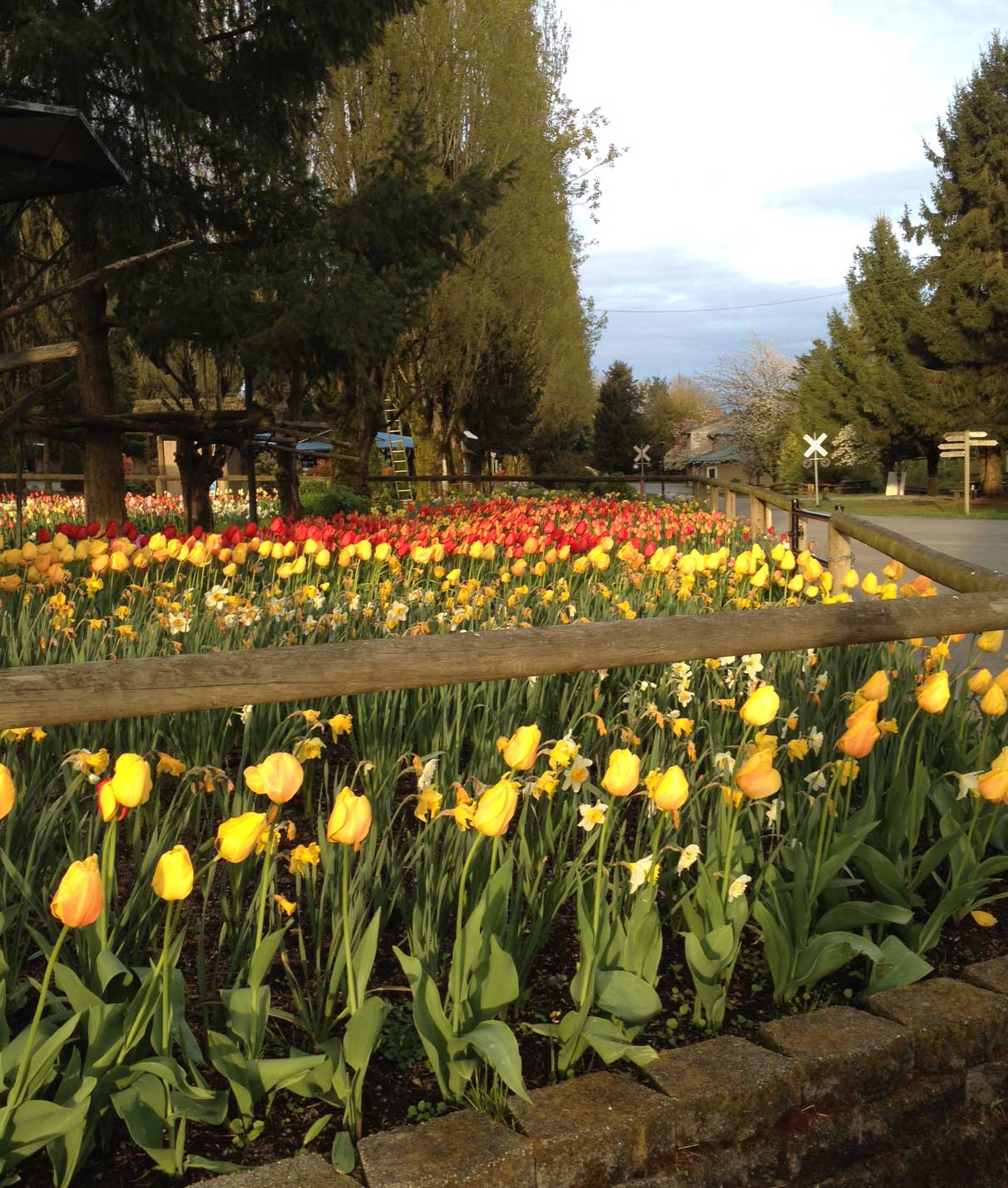 Greater Vancouver Zoo | Home & Blog